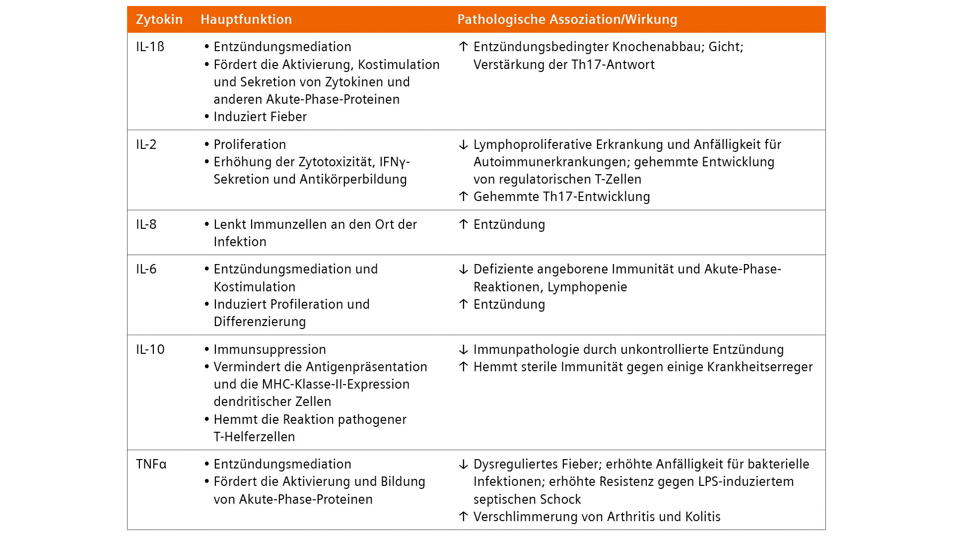 IMMULITE 2000 XPi System: Entzündungsmarker-Panel – Siemens ...