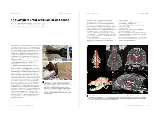Canine and Feline MRI
