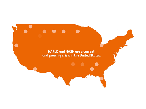 ELF Test - Siemens Healthineers USA