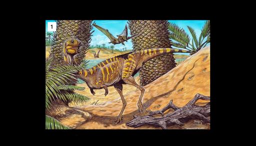 Berthasaura leopoldinae: a window into Brazil's prehistoric past ...