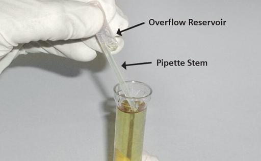 Proper Testing Technique for the CLINITEST hCG Pregnancy Test - Siemens ...