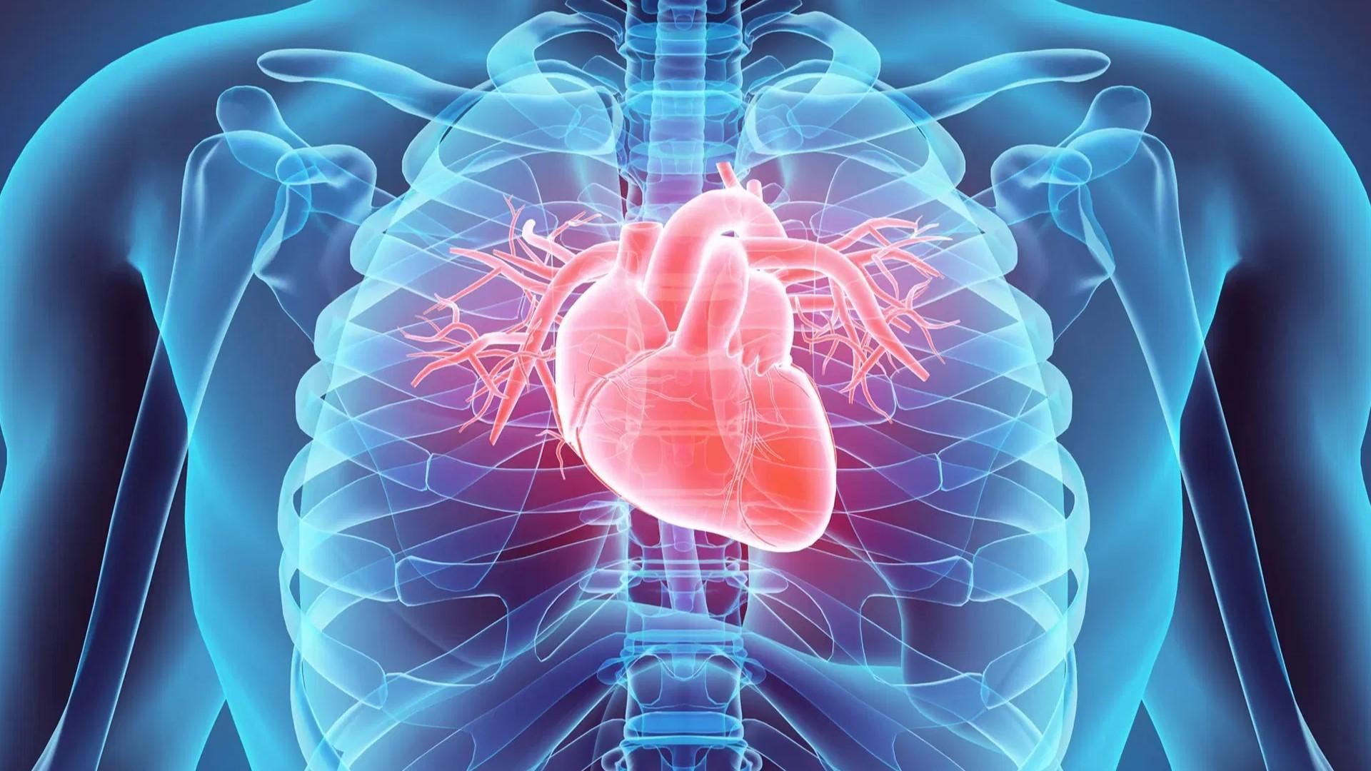 Atellica® VTLi Patient-side Immunoassay Analyzer - Siemens Healthineers