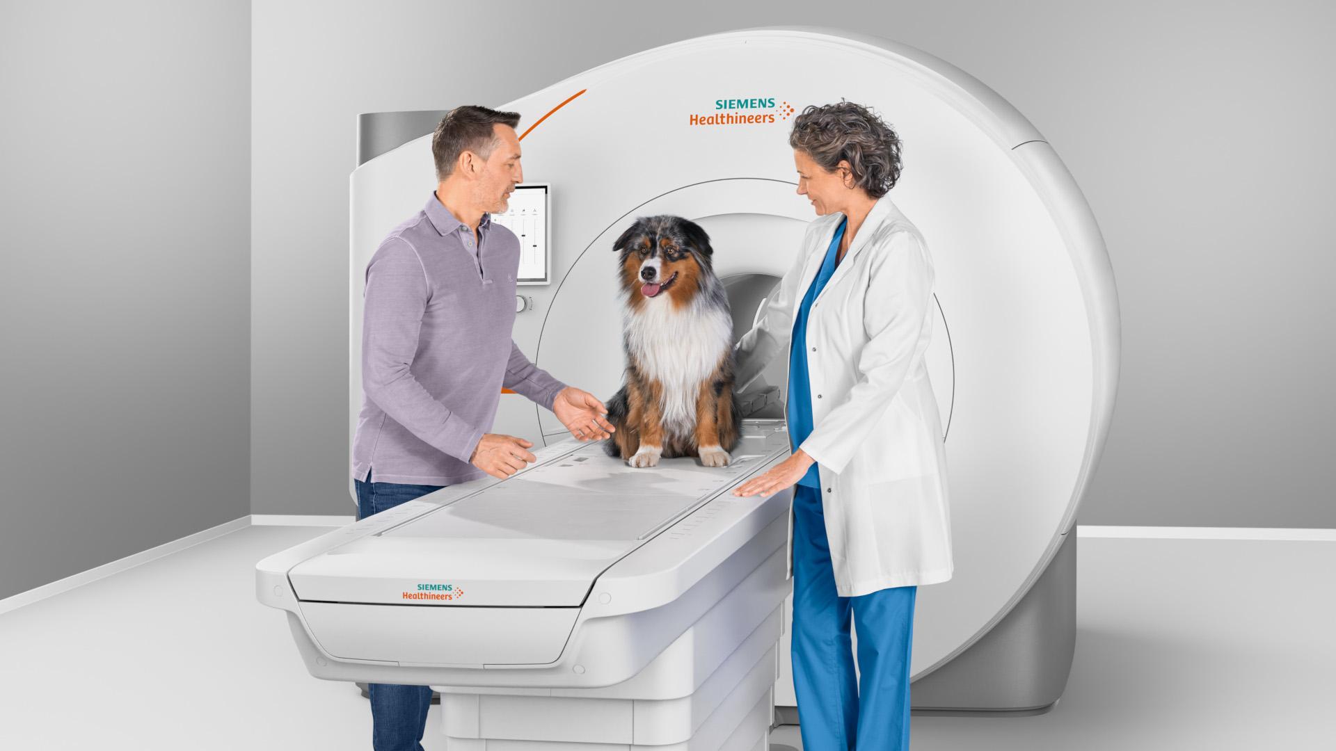 Veterinary in MRI - Siemens Healthineers