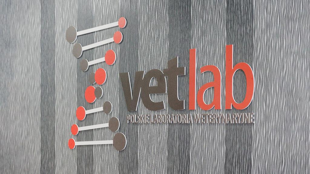 Vetlab - diagnostyka laboratoryjna w weterynarii - Siemens Healthineers ...