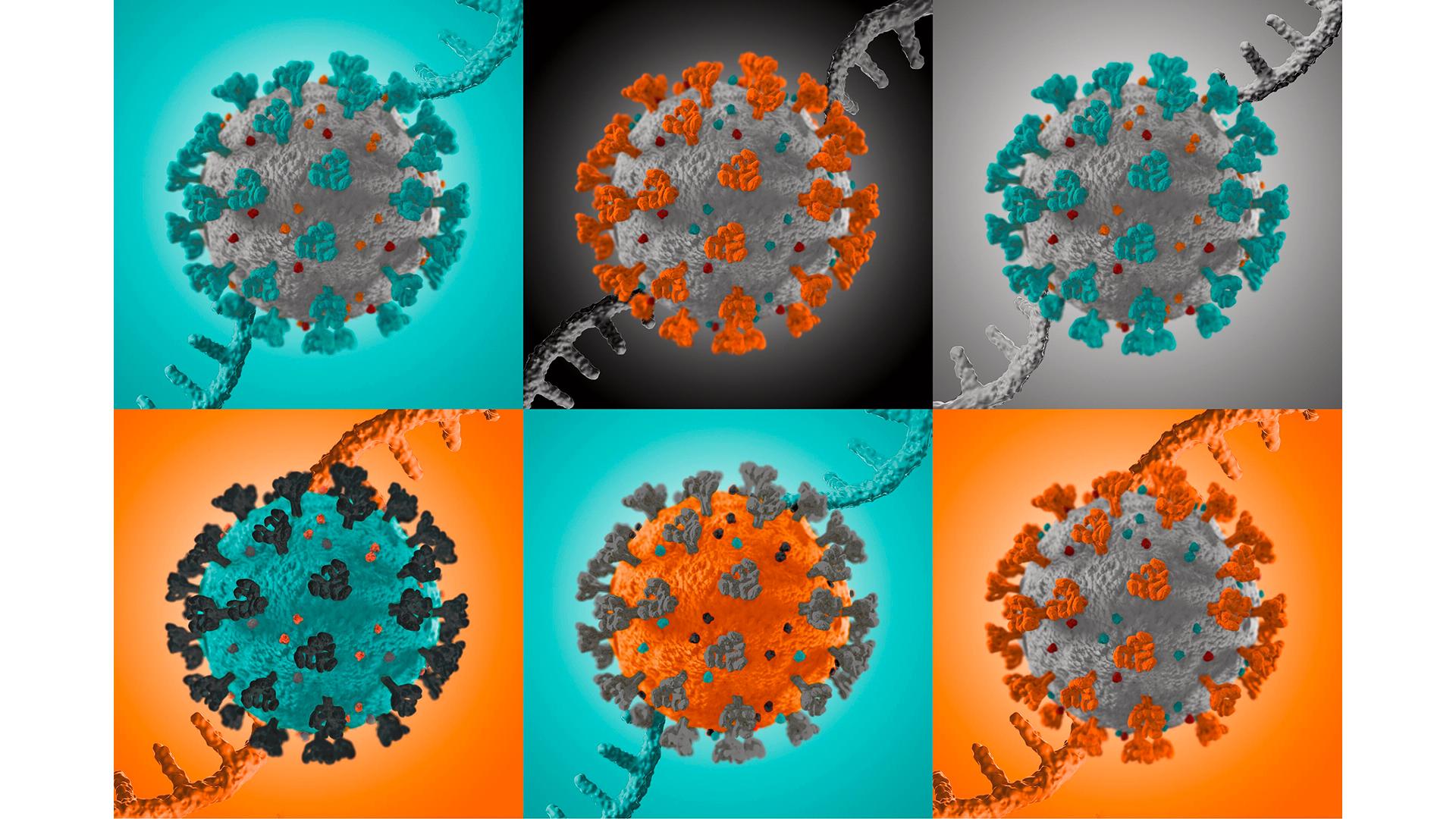SARS-CoV-2 variants: Impact on vaccines and laboratory testing ...
