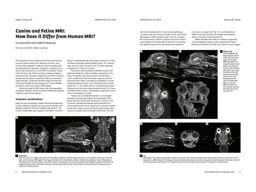 Canine and Feline MRI: How Does it Differ from Human MRI?