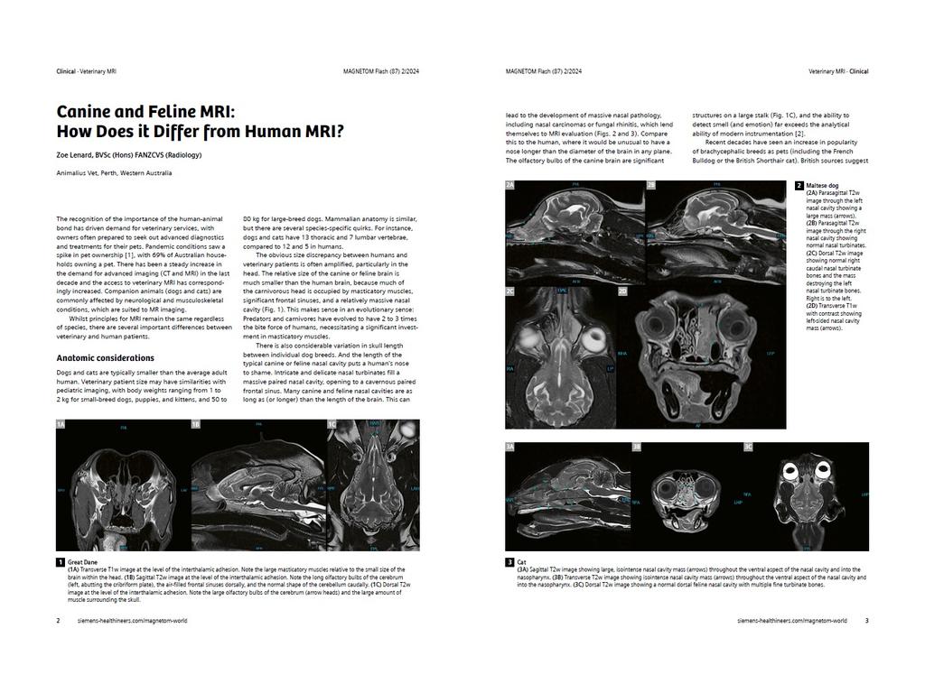 MRI Case Studies, MRI Case Study, MRI Case