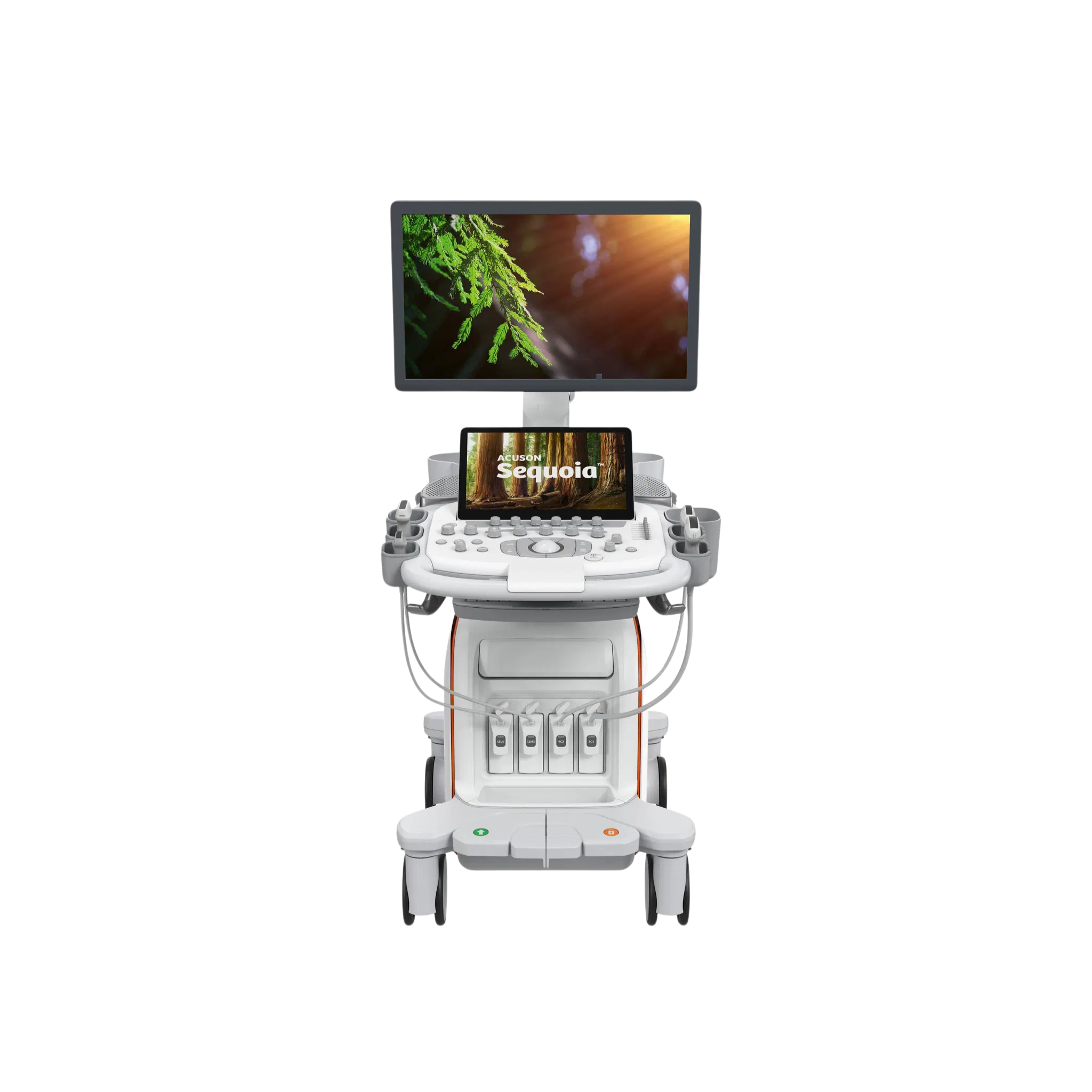 Ultrasound Machines - Siemens Healthineers India